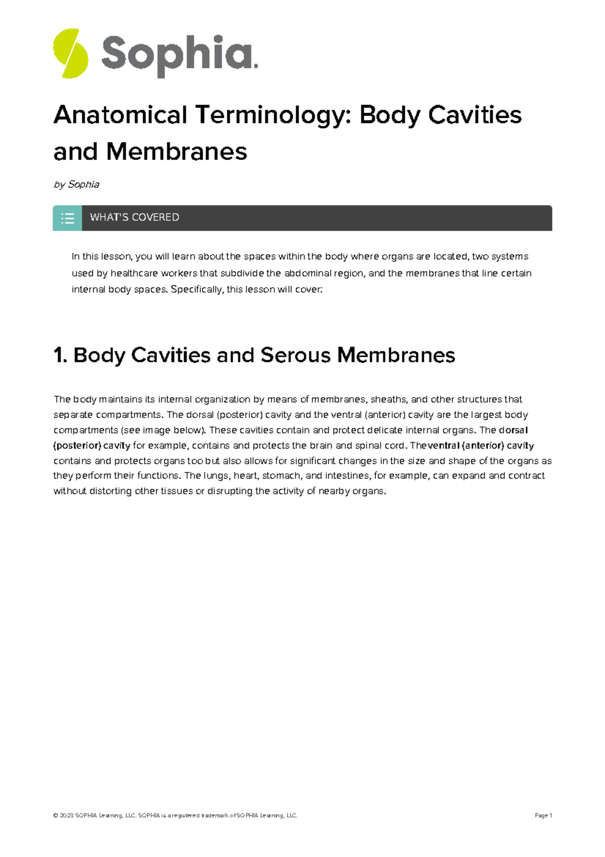 Anatomical terminology body cavities and membranes - Anatomical ...