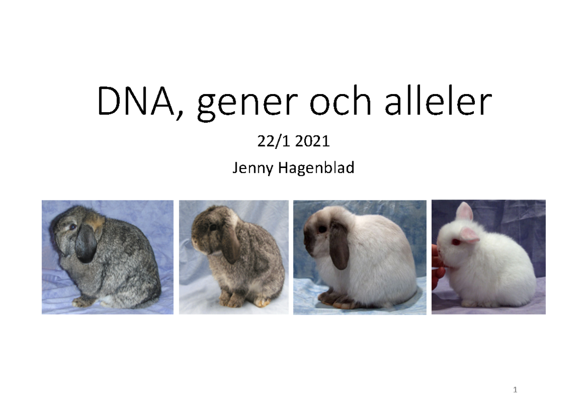 210122 FÖ1 DNA gener alleler - DNA, gener och alleler 22/1 2021 Jenny ...