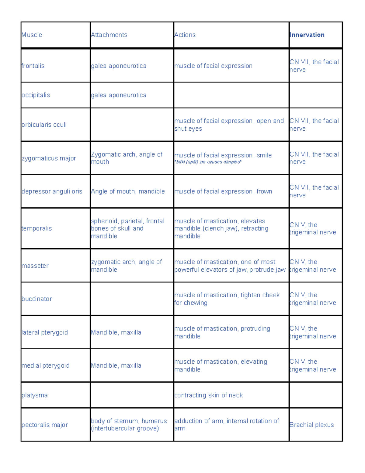 Muscle Chart F21 - Muscle Attachments Actions Innervation frontalis ...