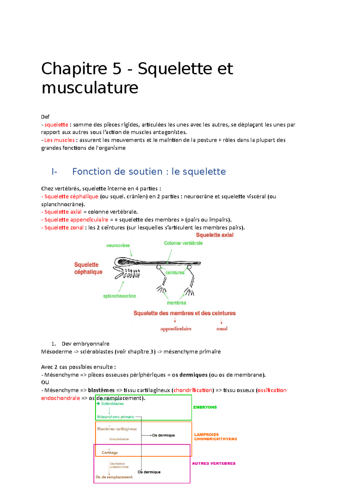 BA squelette - Chapitre 5 - Squelette et musculature Def squelette ...