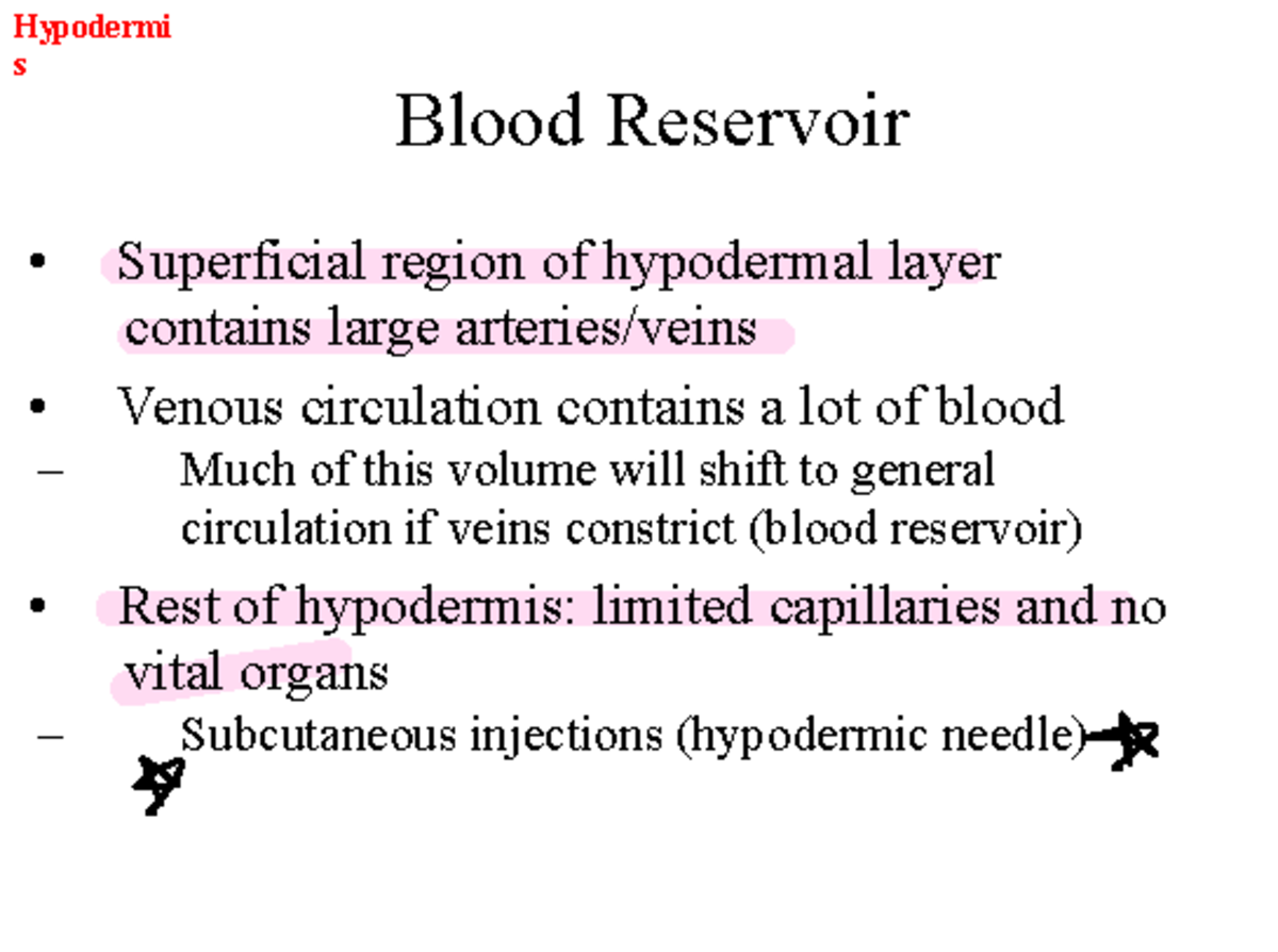Blood Reservoir - Studocu
