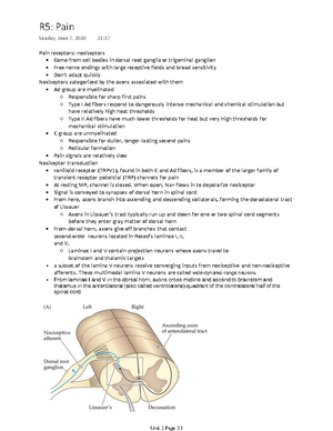 Unit 1 Lecture 6 Visual Processing - Cells for receptive fields On-center cell receptive fields ...