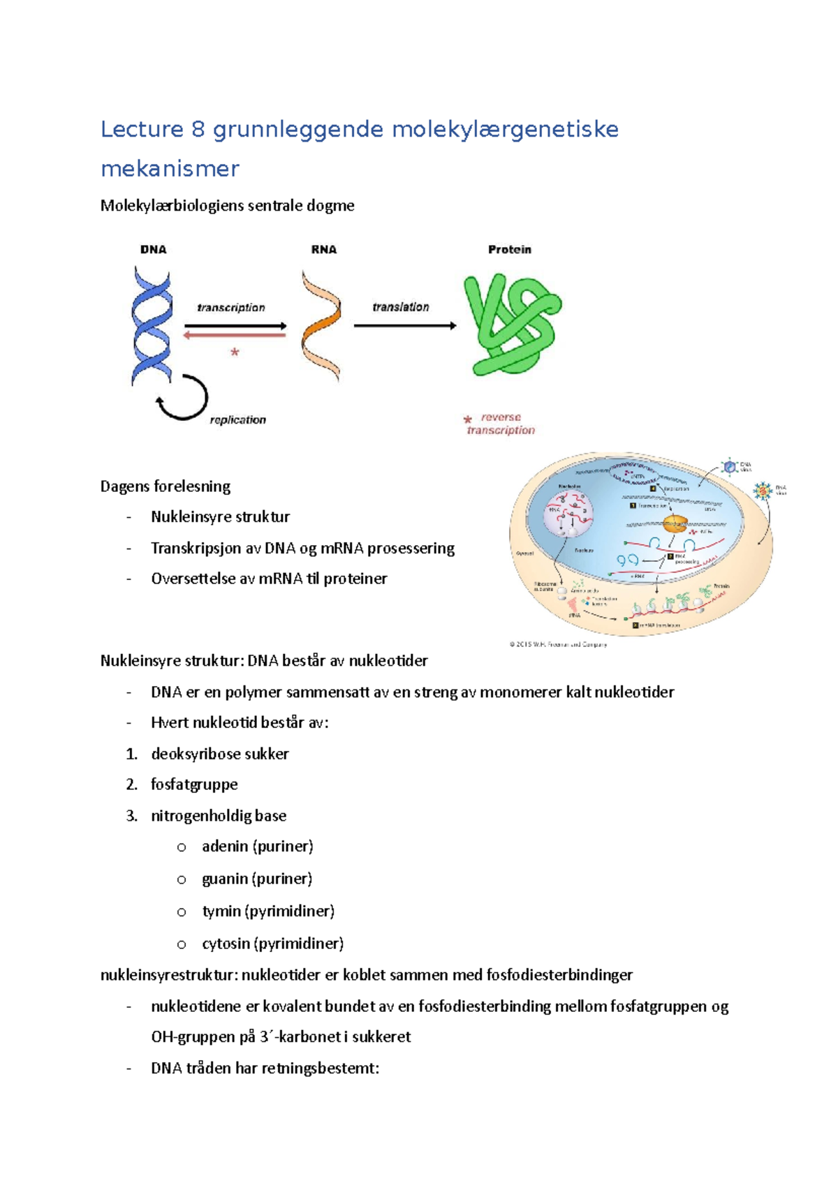 Lecture 8 grunnleggende molekylærgenetiske mekanismer - Lecture 8 ...