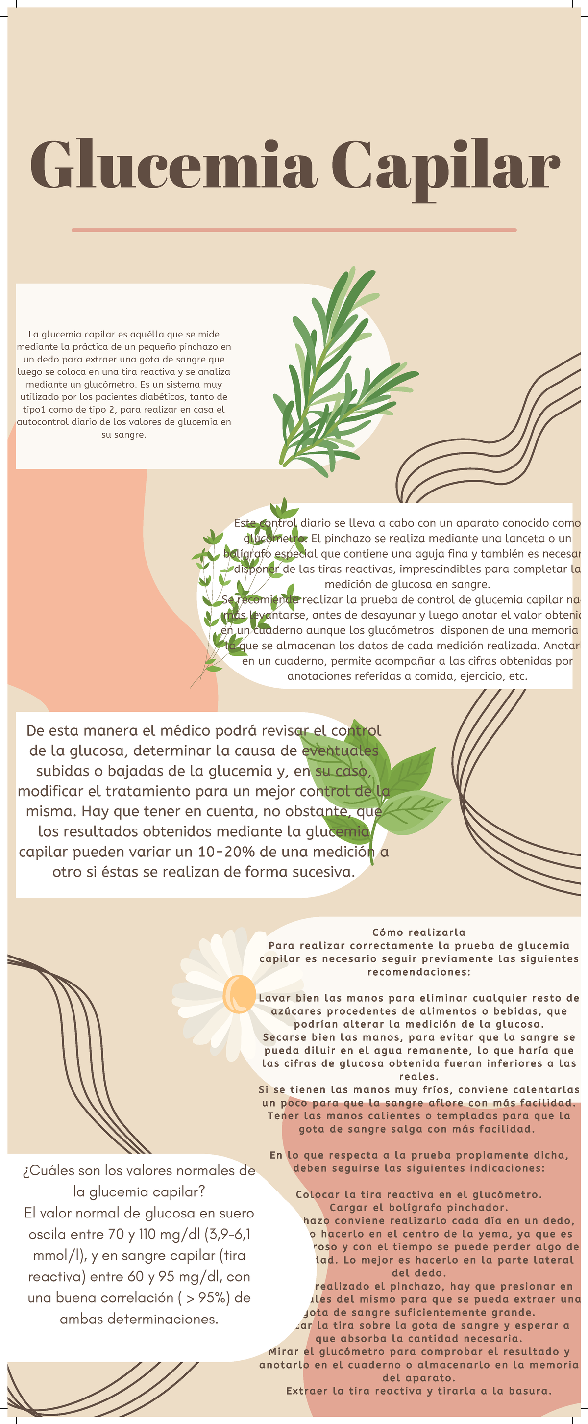 Glucemia Capilar - :):) - Glucemia Capilar La glucemia capilar es ...