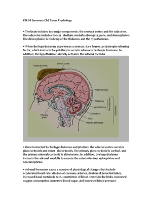 One Nation Under Stress Questions - KIN 69 “One Nation Under Stress ...