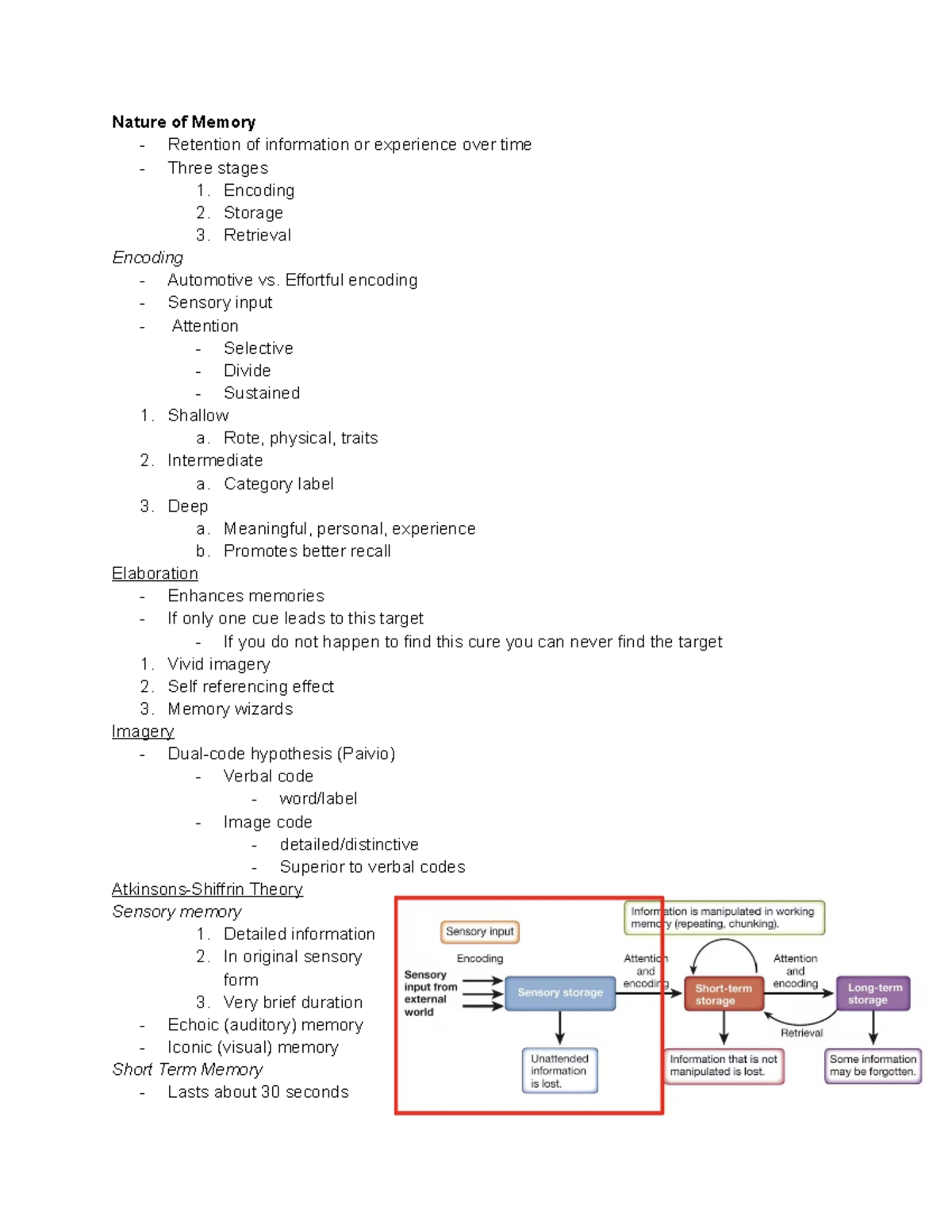 Chapter 6 Memory - Nature of Memory - Retention of information or experience over time - Three ...