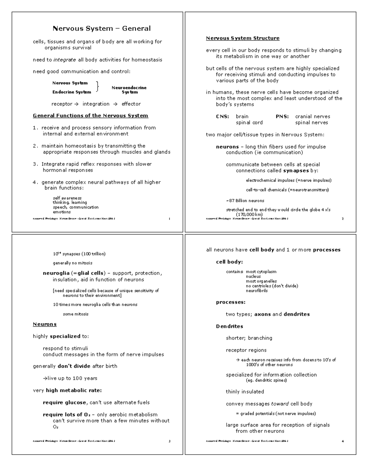 Nervous System - General - 2401 - Anatomy & Physiology I: Nervous ...