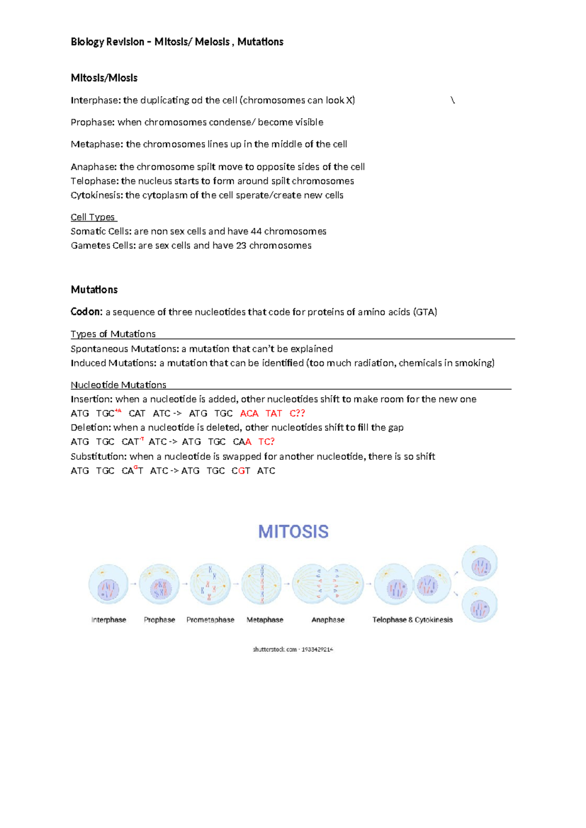 Biology Revision – Mitosis, Meiosis , Mutations - Biology Revision ...