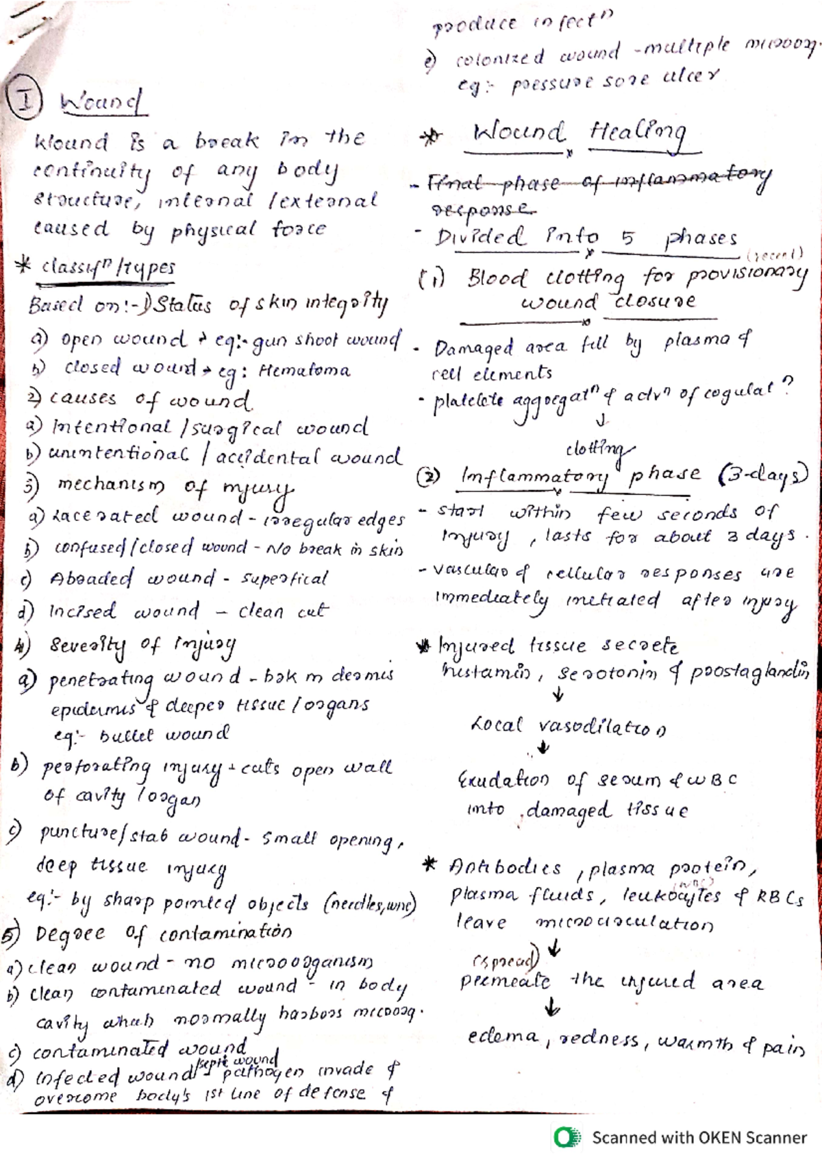 Wound healing - c) Abraded wound superficial vasculao of cellular ...