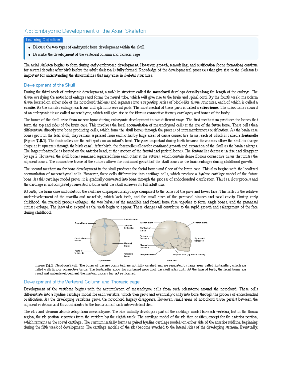 7.5 Embryonic Development of the Axial Skeleton - 7: Embryonic ...