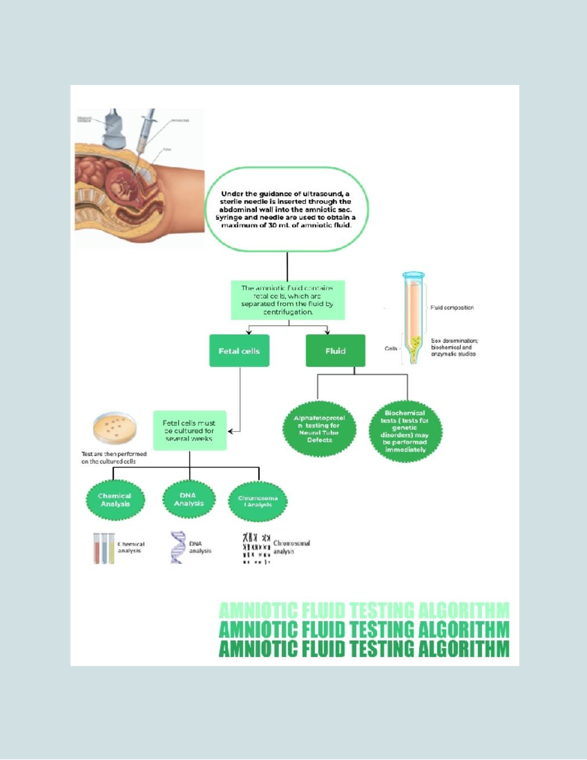 Aubflab - Algorithm - Medical Technology - Studocu