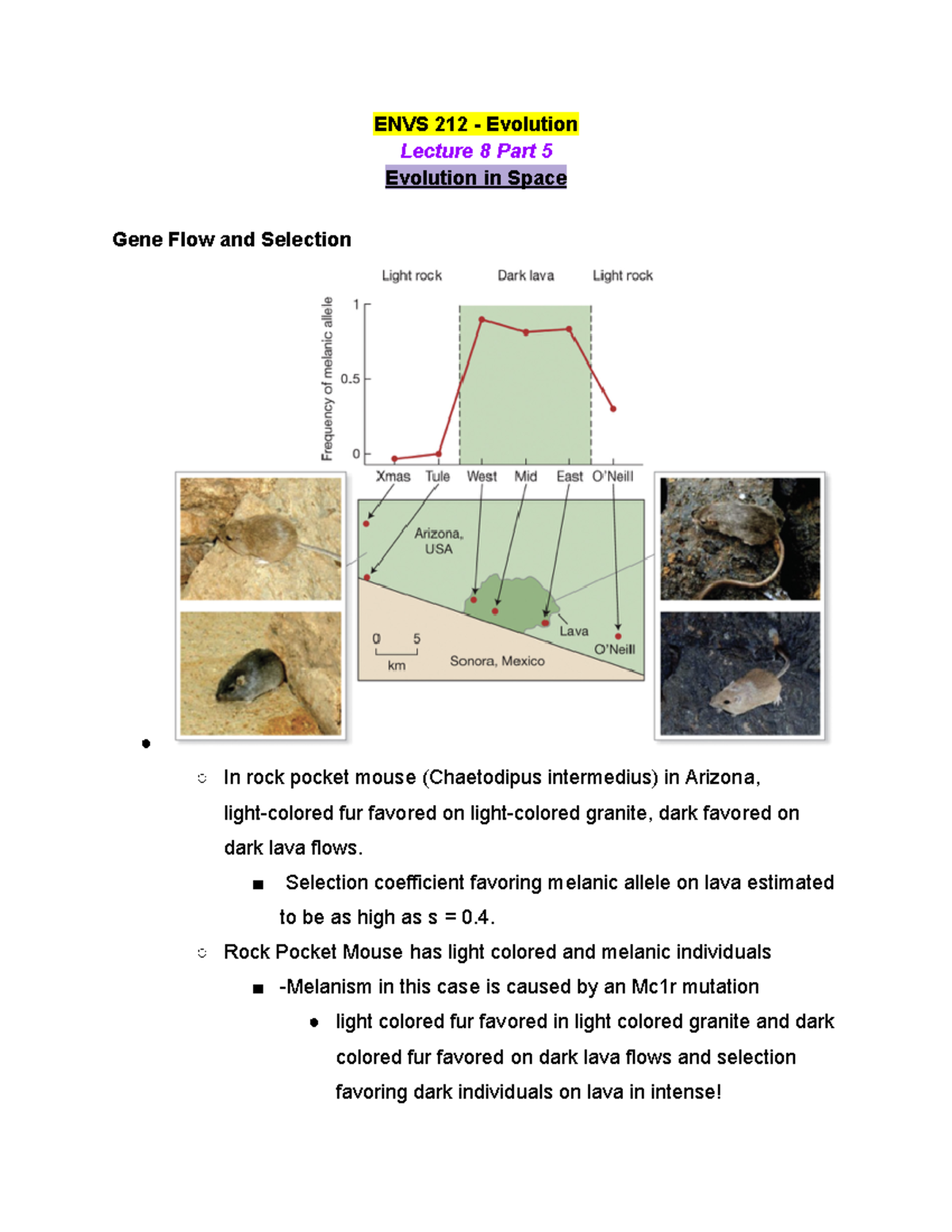ENVS 212 Lecture 8 Part 5 - Spring 2020 - ENVS 212 - Evolution Lecture 8 Part 5 Evolution in ...
