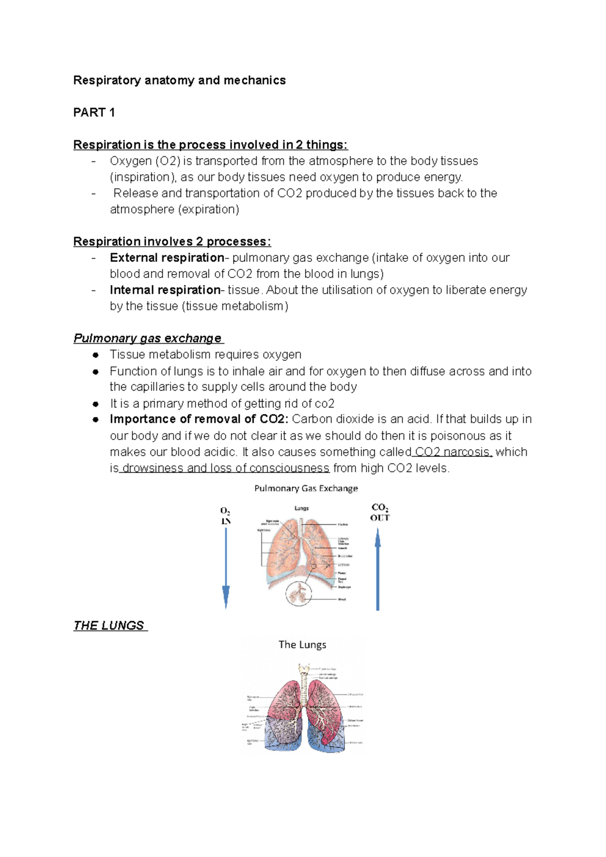 Respitatory Lecture 2 notes - Respiratory anatomy and mechanics PART 1 ...