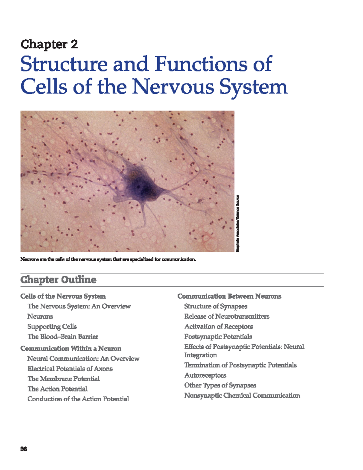 Structure and function of neuron - Biological foundations of behavior ...