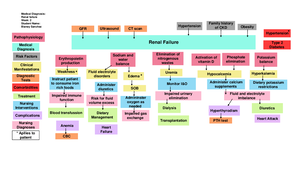 Concept map#4 - clinical paperwork - Tissue Integrity Diabetic Foot ...