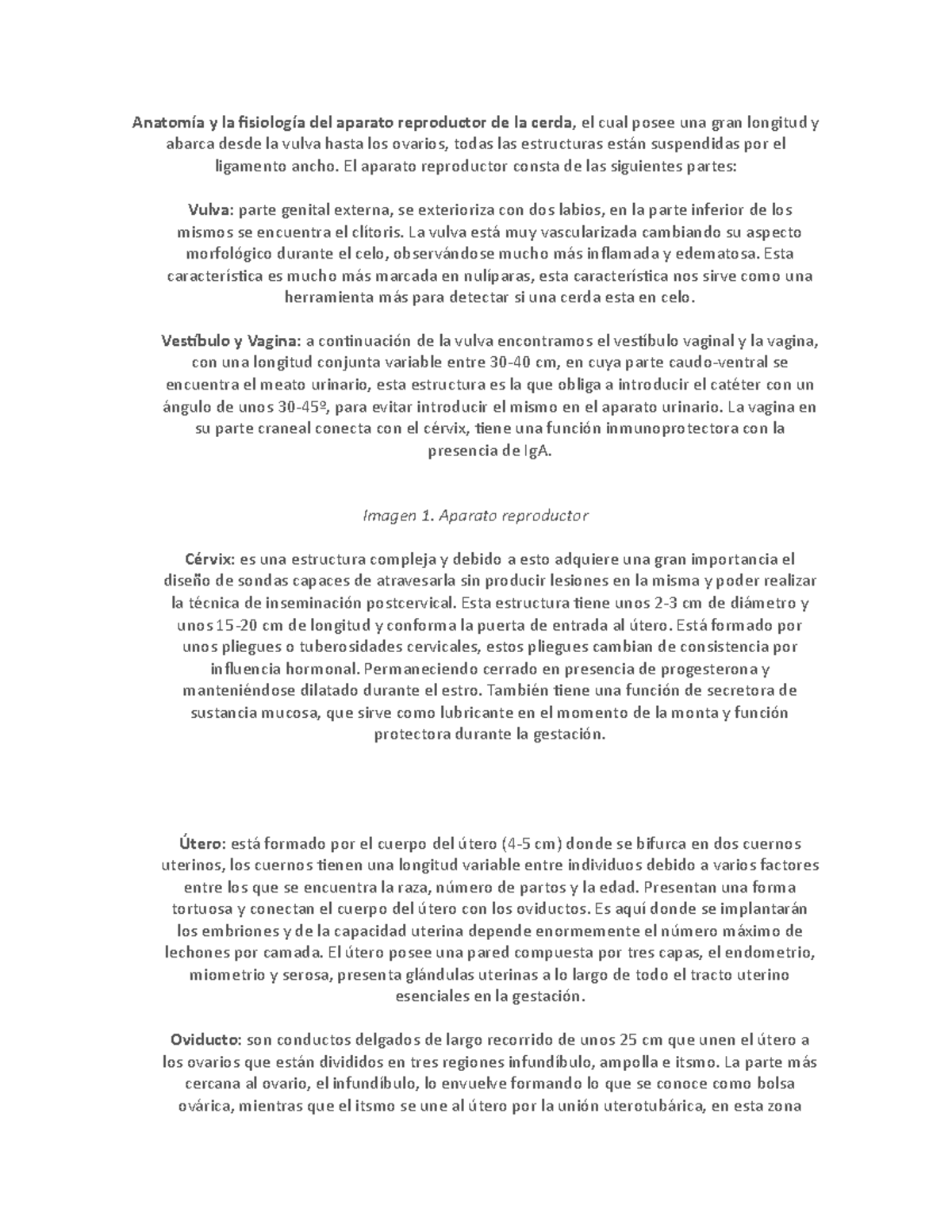 Anatomía y la fisiología del aparato reproductor de la cerda - El ...