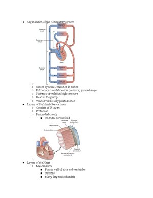 Pathophysiology GI - Function of the Gastrointestinal Tract (GIT ...