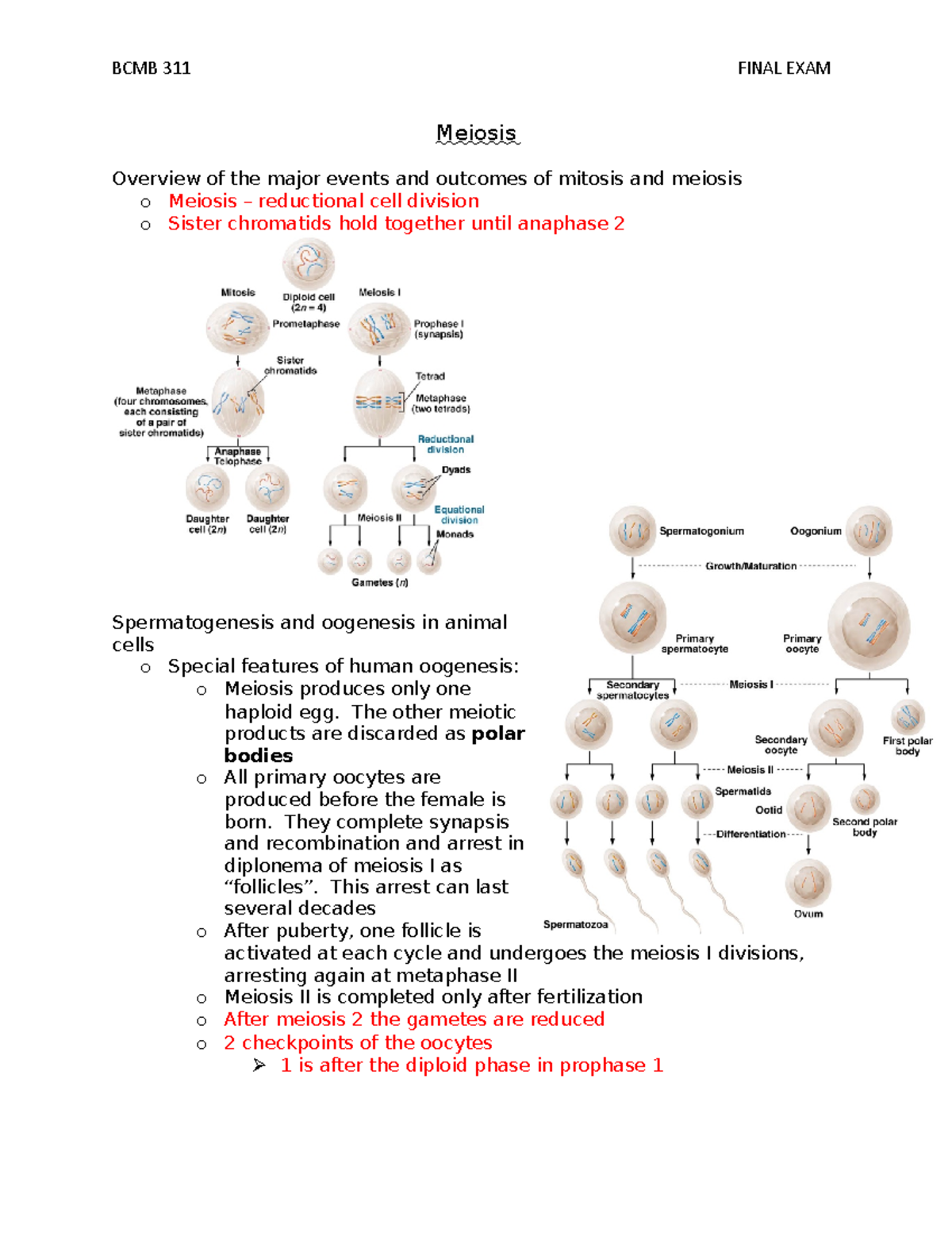 Test 5 - BCMB 311 - Dr. Bruce McKee - Meiosis Overview of the major ...