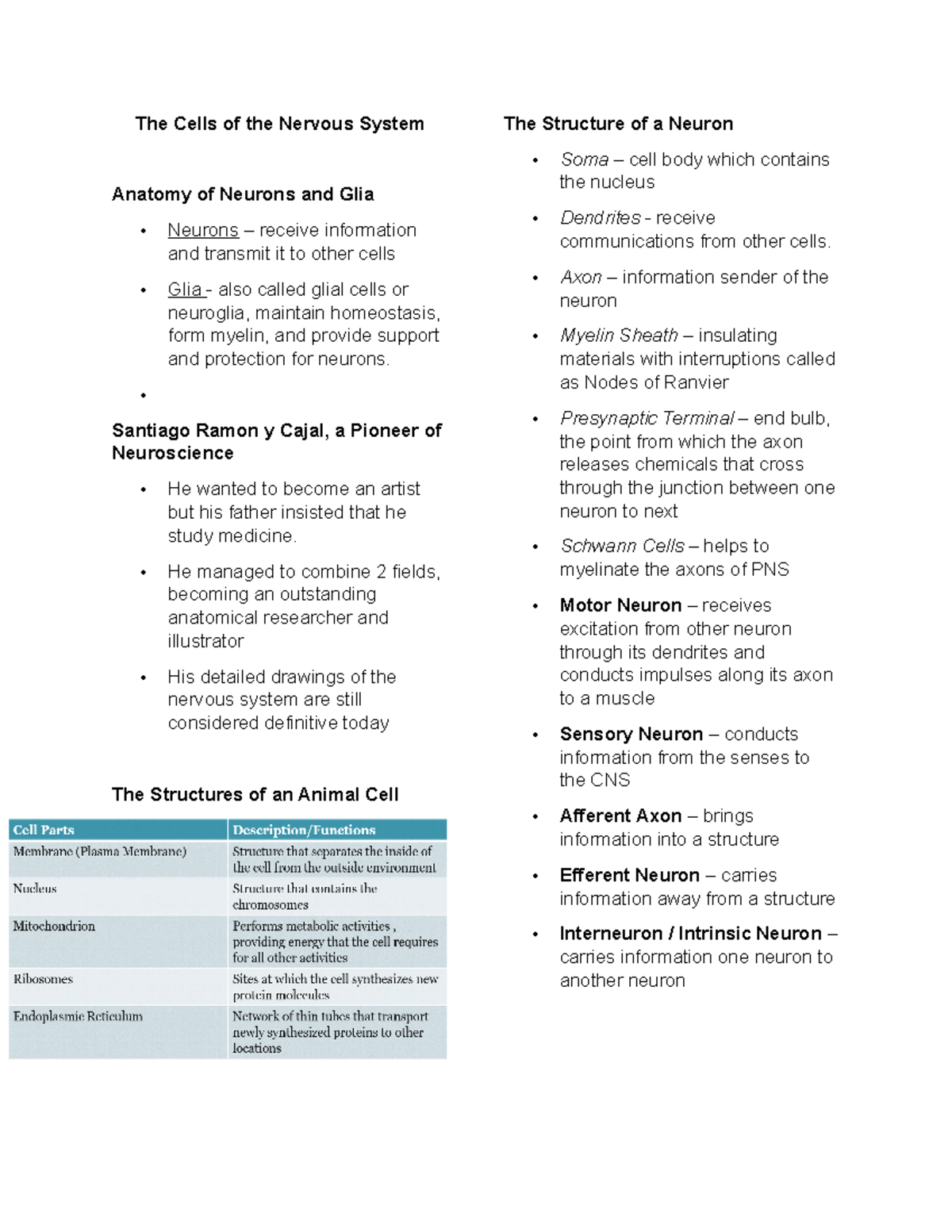 The Cells of the Nervous System in Biological Psychology - The Cells of ...