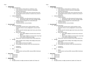 Lab 2 The Brain Study Guide - Study Guide-Lab 2 Brain/ventricle models ...