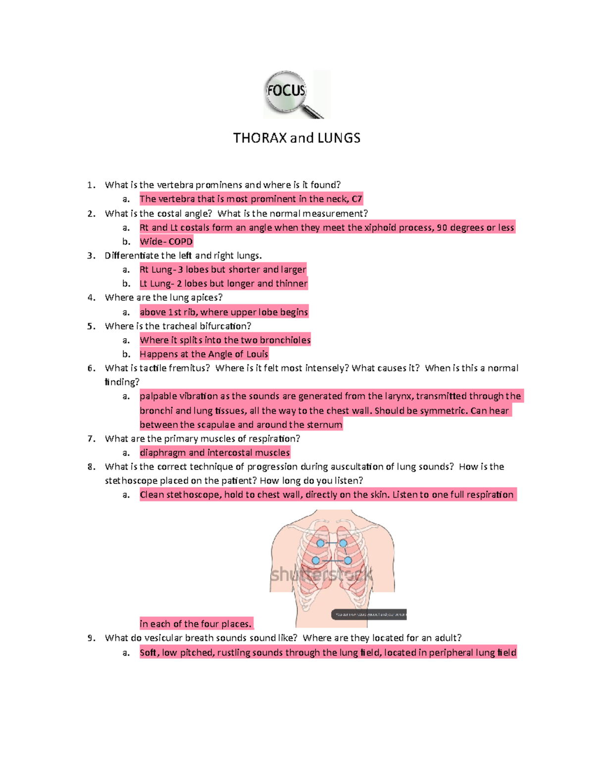 Focus sheet Thorax and Lungs - THORAX and LUNGS What is the vertebra ...