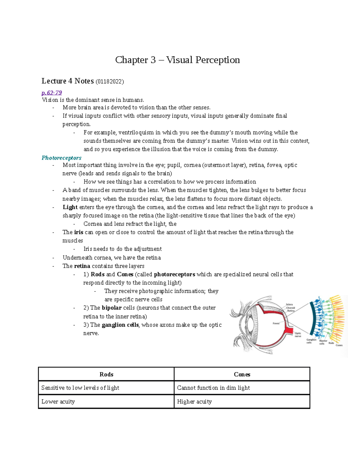 Cognitive psychology notes-4 - Chapter 3 – Visual Perception Lecture 4 ...