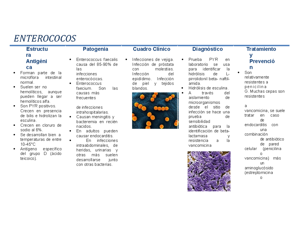Enterococoss resumen de clase - ENTEROCOCOS Estructu ra Antigéni ca ...