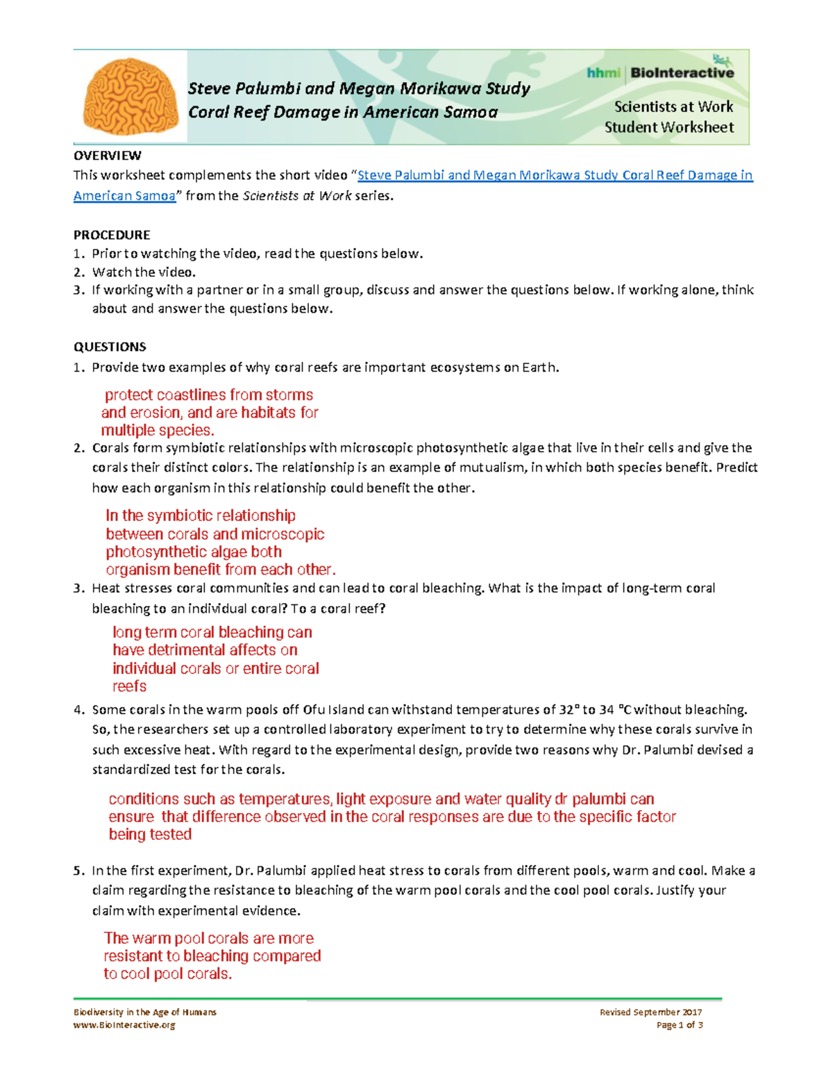 Steve Palumbi and Megan Morikawa Study Coral Reef Damage in Ame rican ...