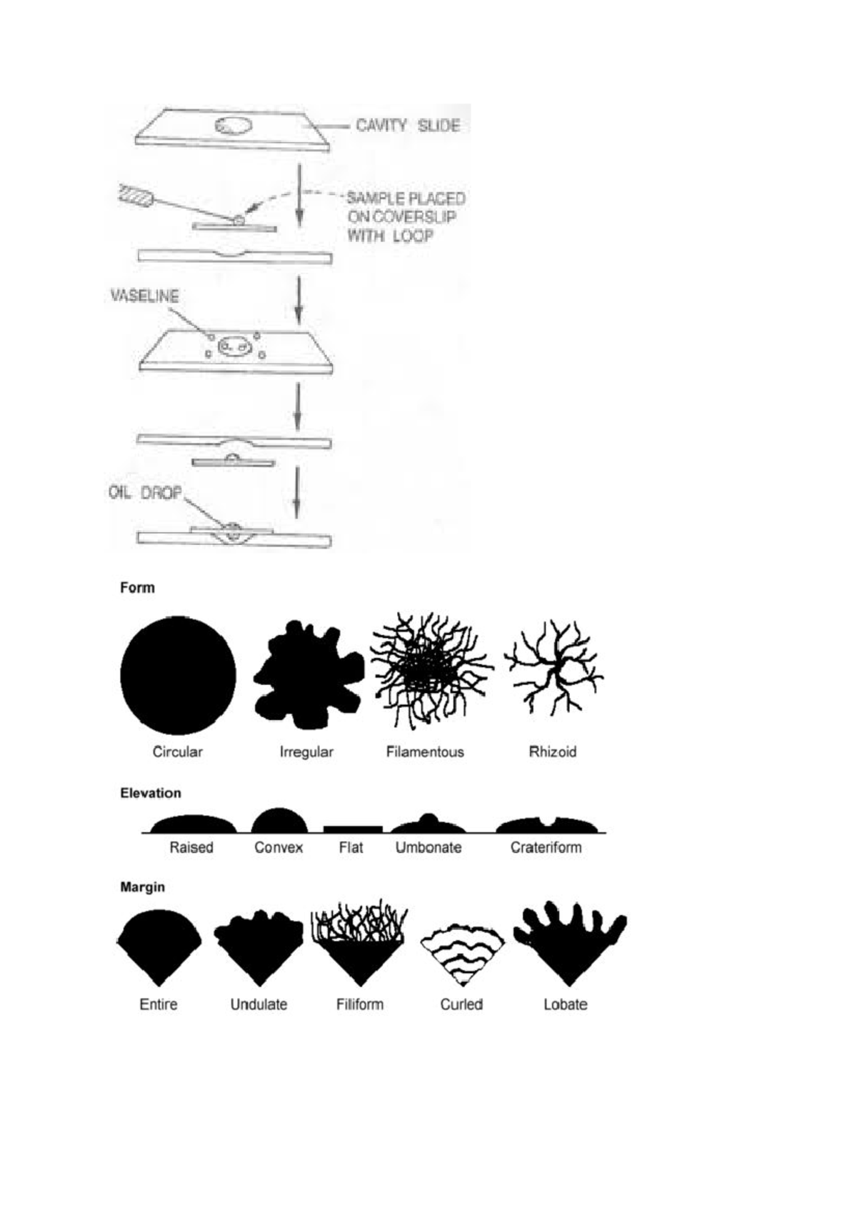 Document 1 Diagrams Genetics And Biotechnology Studocu document-1-diagrams-genetics-and-biotechnology-studocu