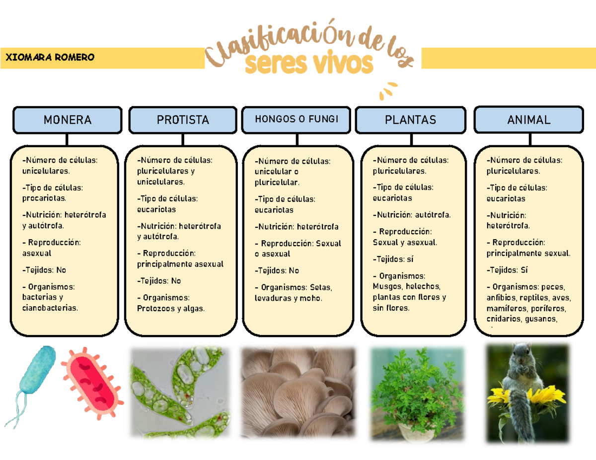 Reinos S5 - ........ - MONERAPROTIST PROTISTA HONGOS O FUNGI PLANTAS -N ...
