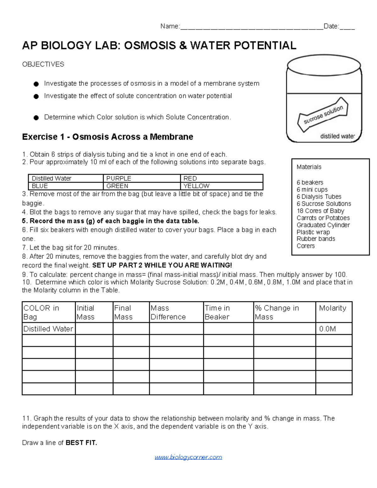 Student Investigation Osmosis and Water Potential-1 - Name
