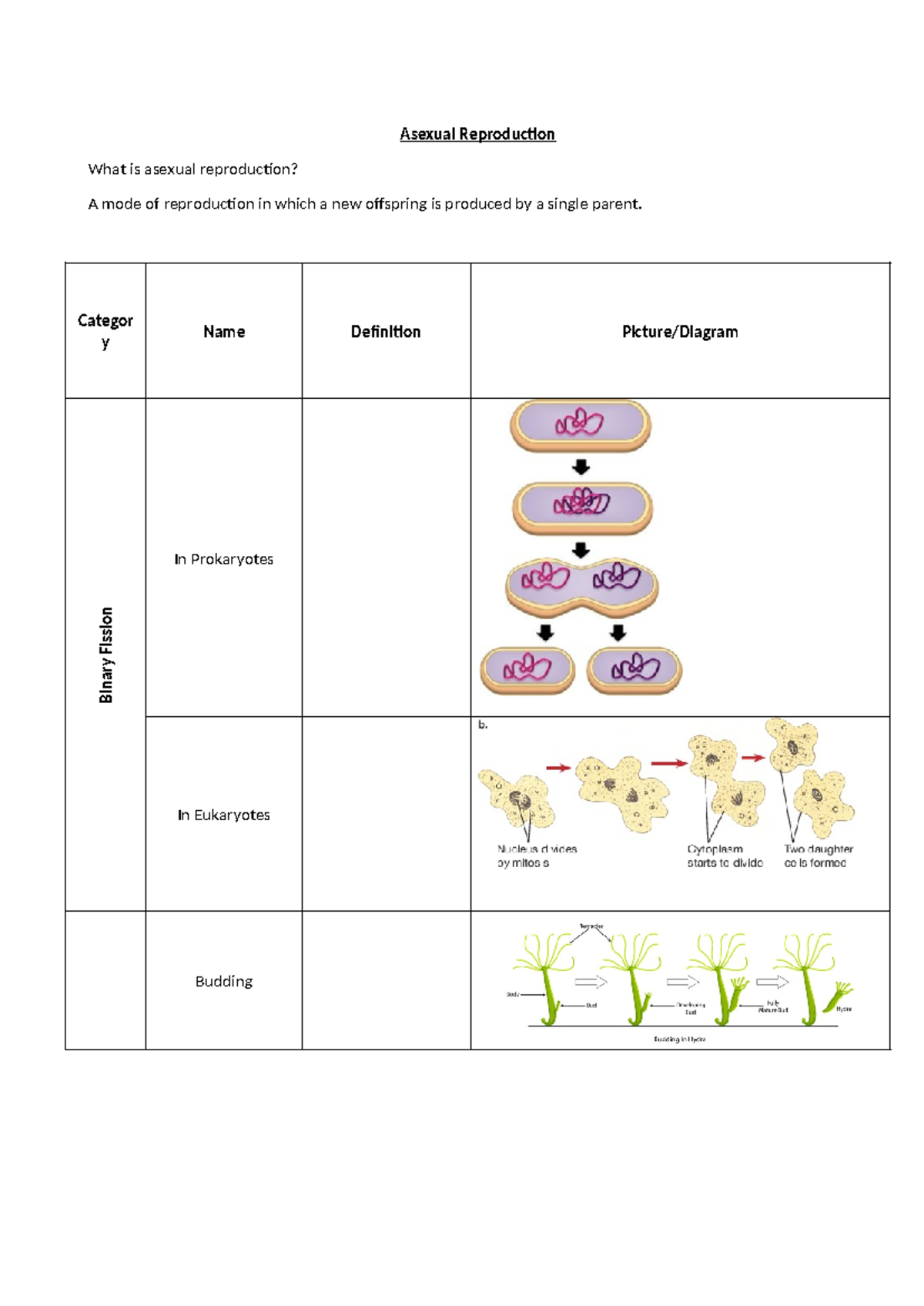 Asexual Reproduction table for students - Asexual Reproduction What is ...