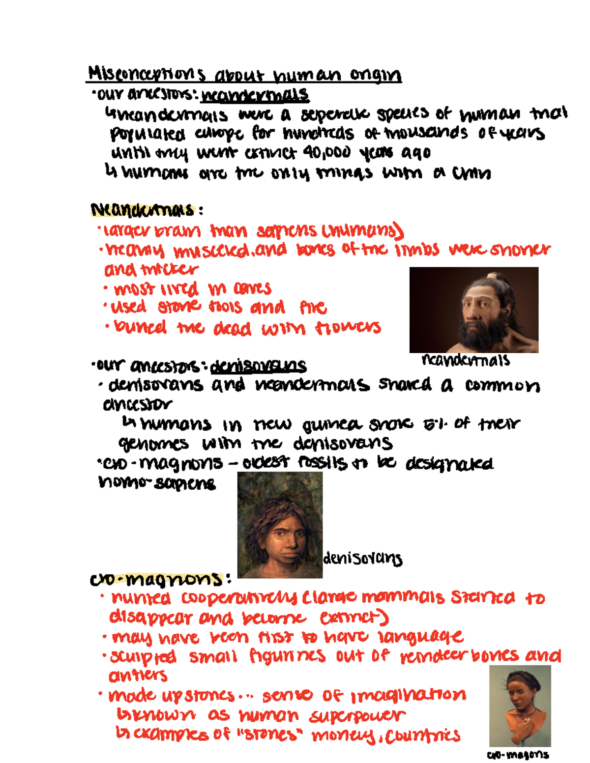 Human variation - Misconceptions about human origin our ancestors ...