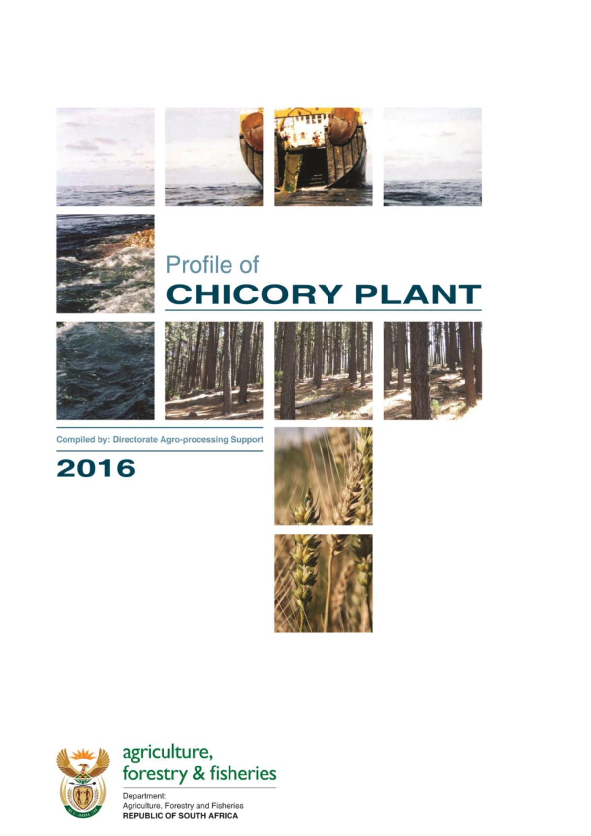 Chicory designed - AGM - i iii Introduction Contents Chicory processing ...