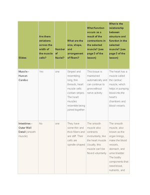 Discovery+Student+Pages+-+Muscular - Support and Motion Unit © It’s Not ...