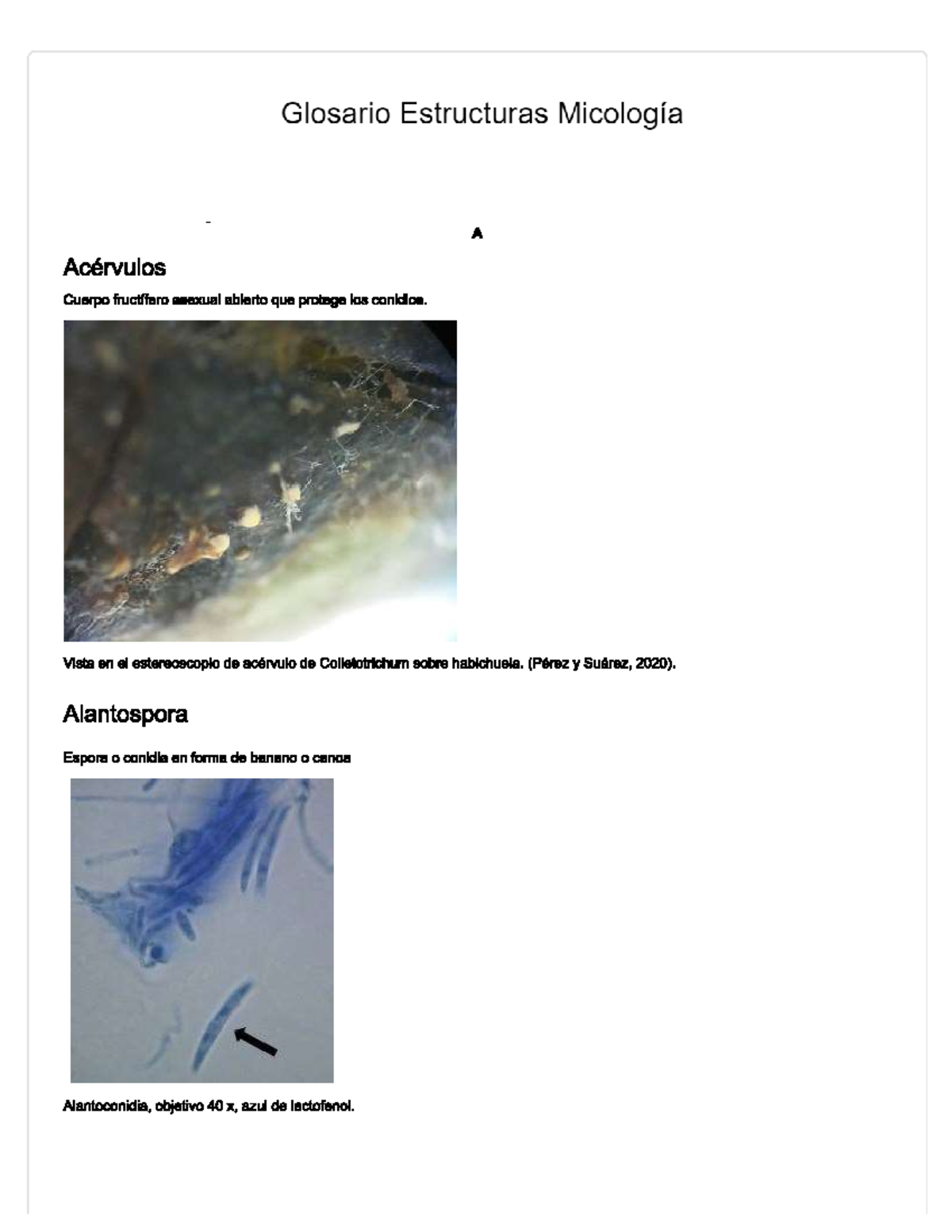 Glosario estructuras microscópicas - Salud Mental - Studocu