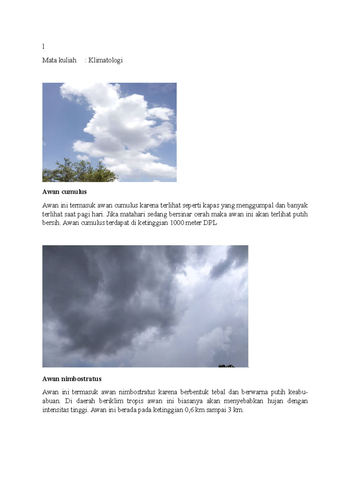 Awan%20tugas%20klimatologi - l Mata kuliah : Klimatologi Awan cumulus ...
