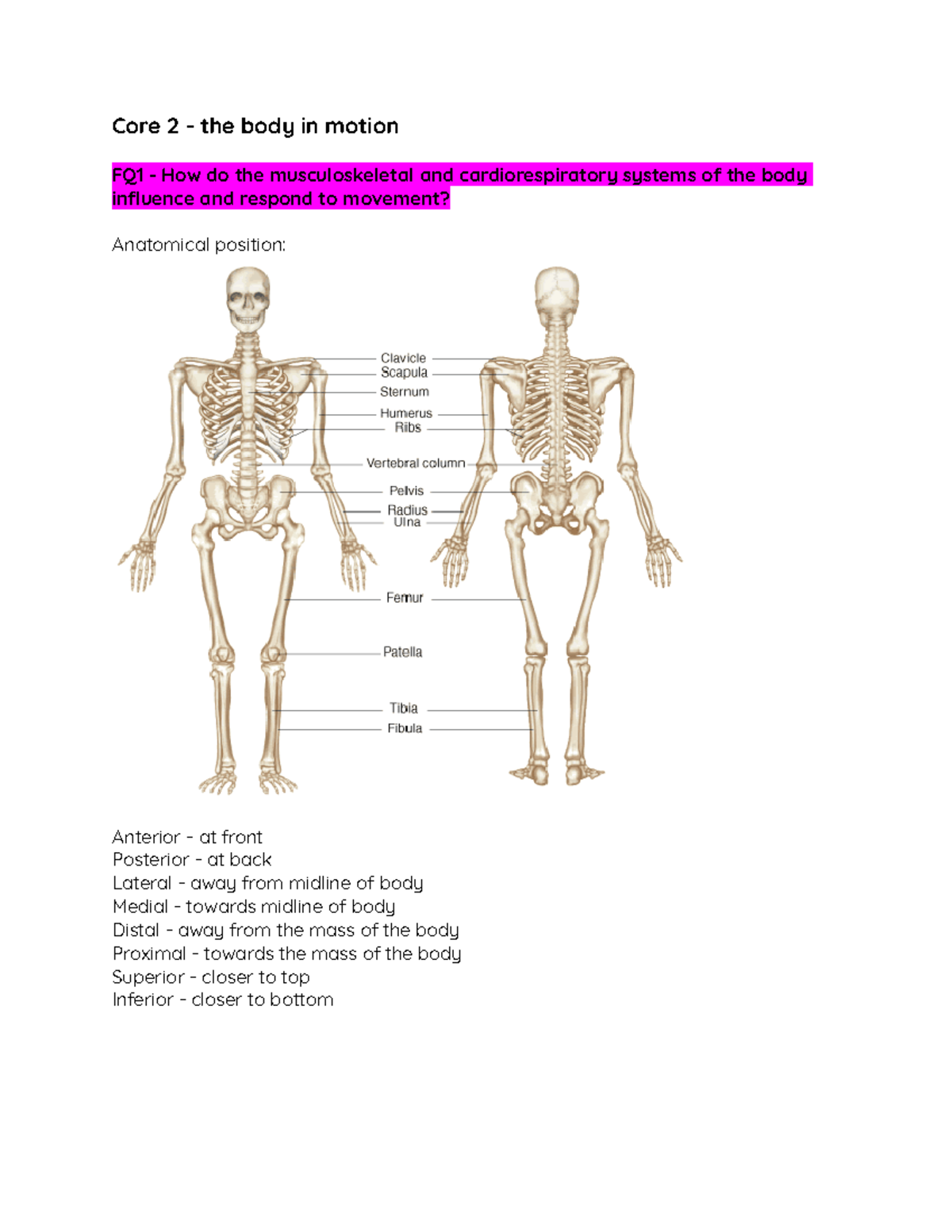 The Body in Motion Notes - Core 2 - the body in motion FQ1 - How do the ...