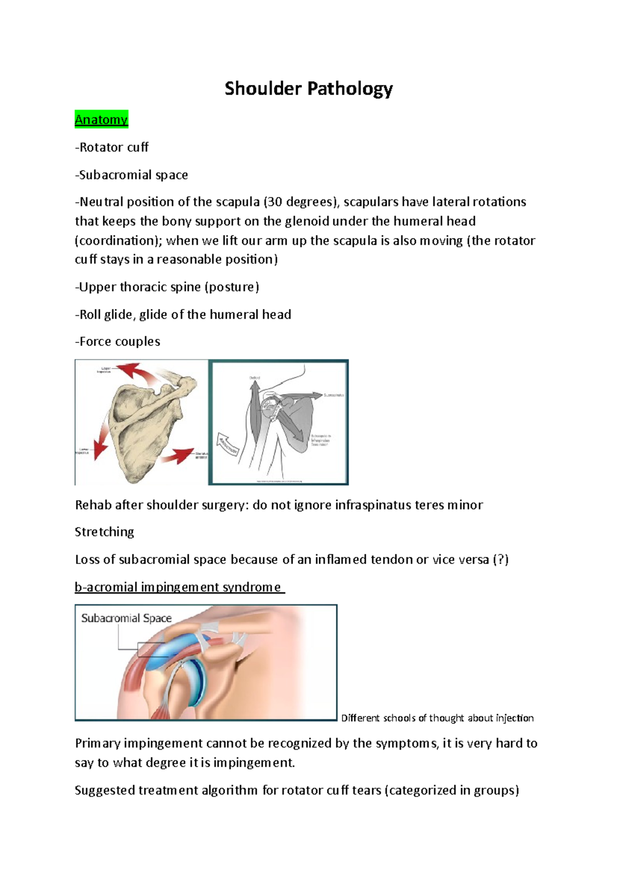 Shoulder Pathology - Shoulder Pathology Anatomy -Rotator cuf ...