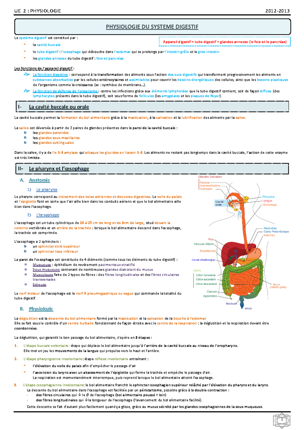 II.17 - Physiologie digestive - PHYSIOLOGIE DU SYSTEME DIGESTIF Le ...