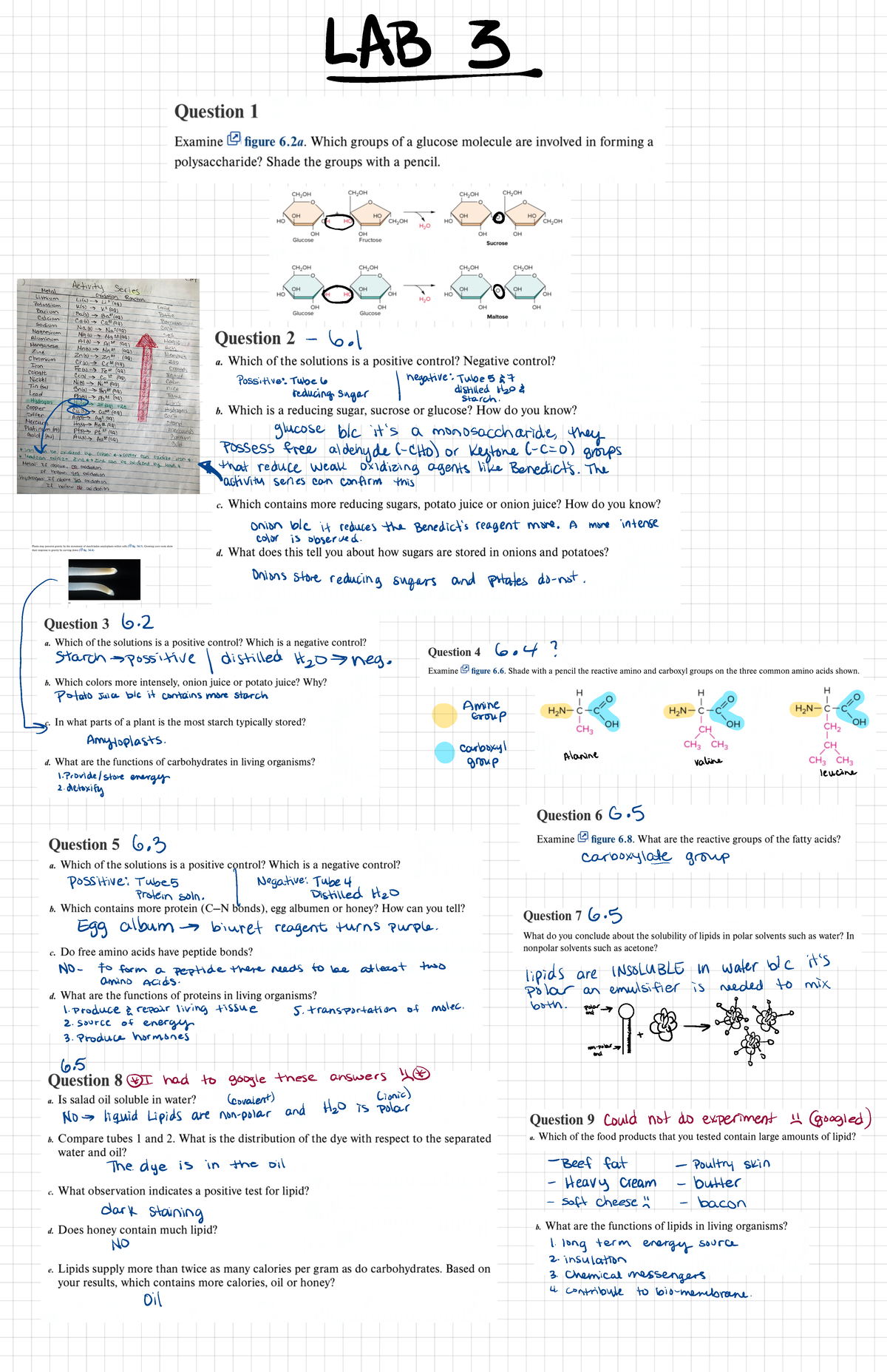 Lab 3 - Lab 3 workbook answers - LABI O O O O lool Positives 6 ...