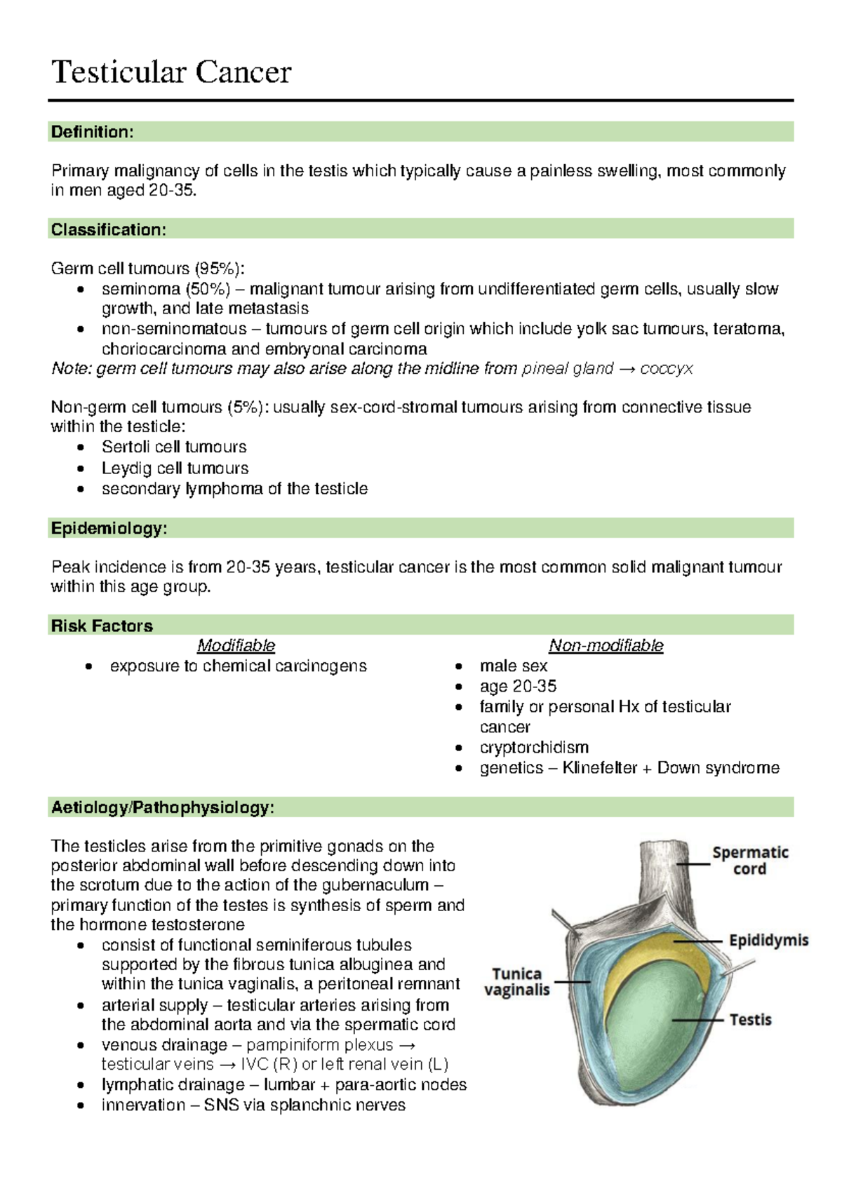 Groin Pathologies - Testicular Cancer Definition: Primary malignancy of ...