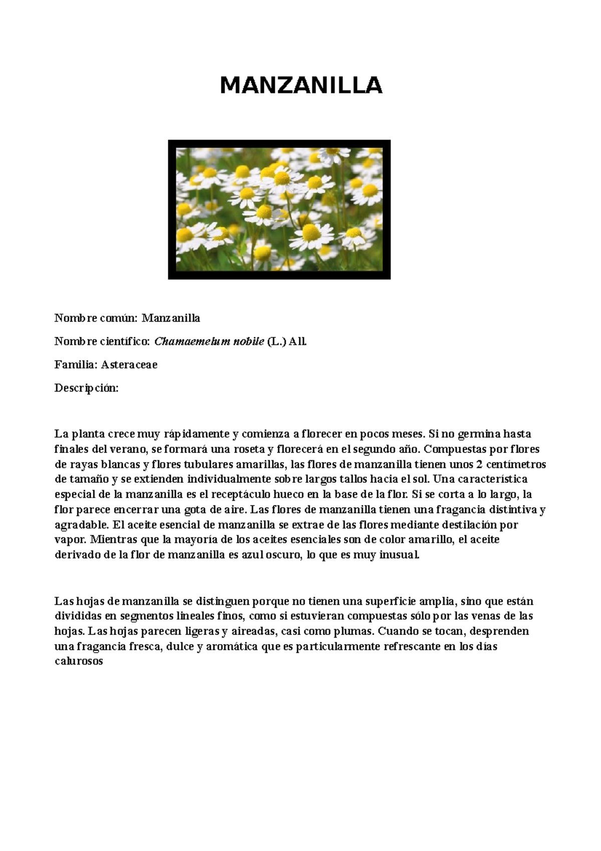 Documento - ghfyg - MANZANILLA Nombre común: Manzanilla Nombre ...