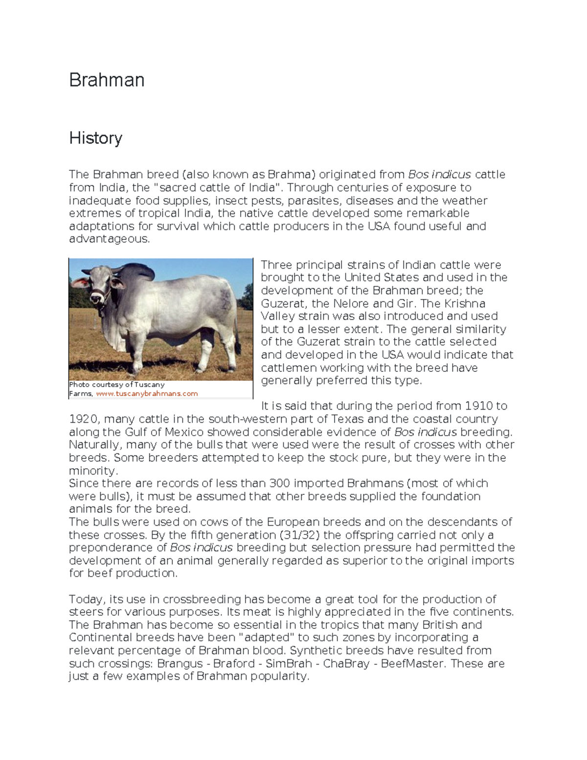 Brahman - learning materials for addtional info - Brahman History The ...