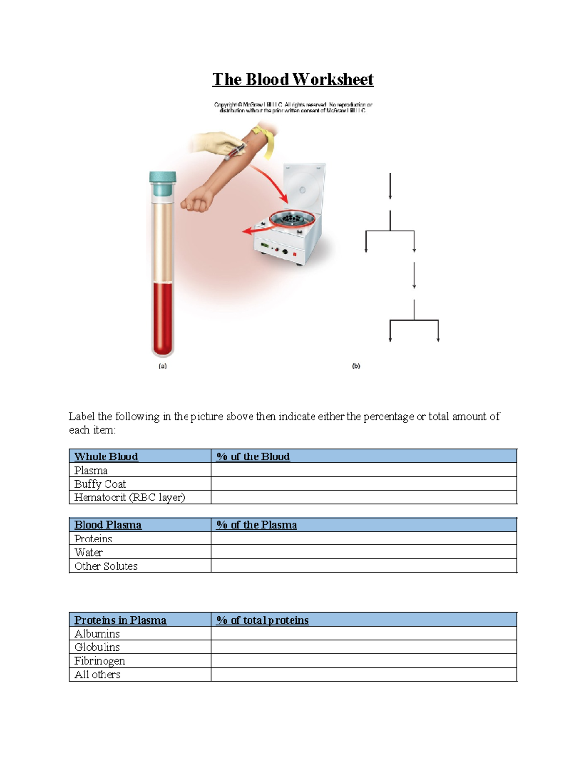 BIOS255 Week 1 The Blood Worksheet - The Blood Worksheet Label the ...