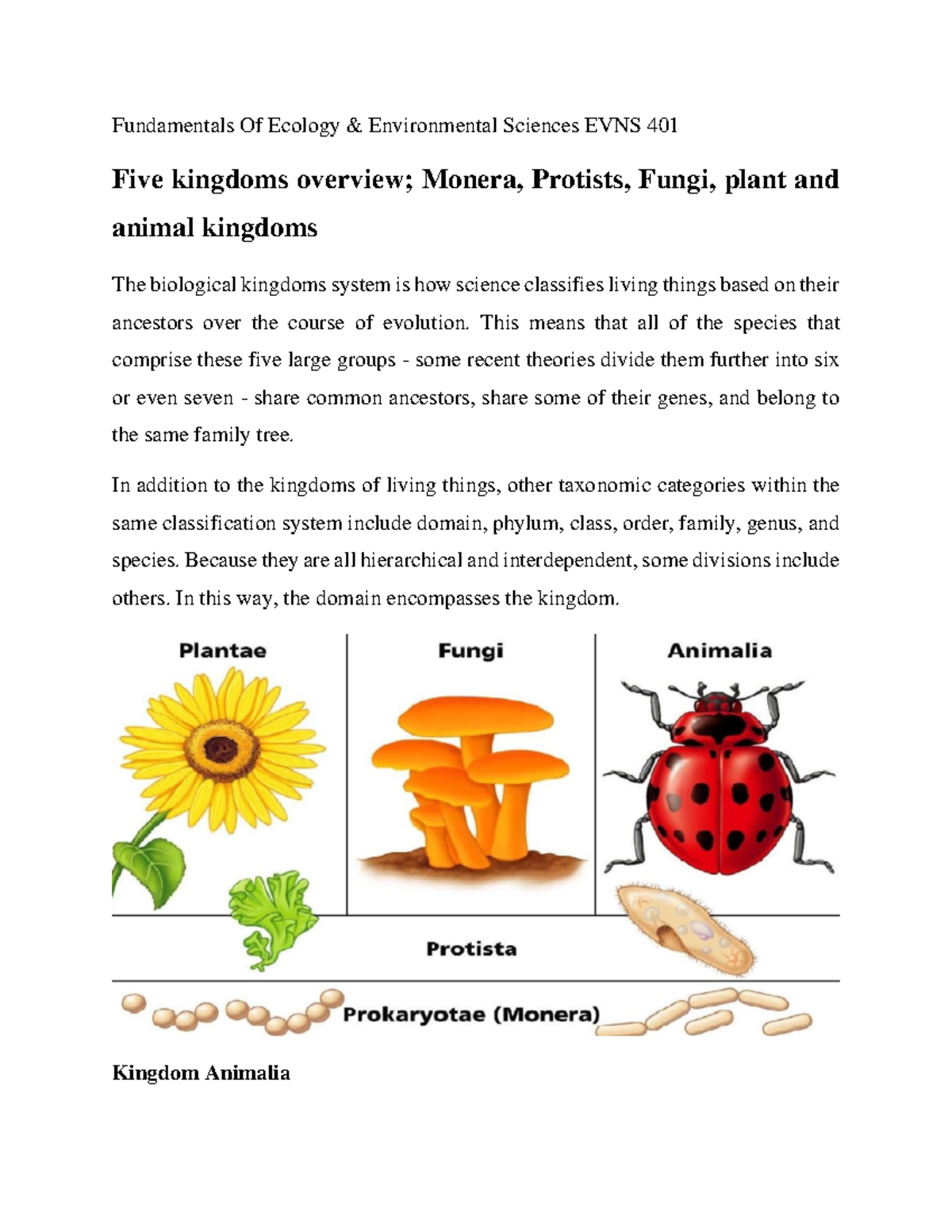 Five kingdoms overview - Fundamentals Of Ecology & Environmental ...