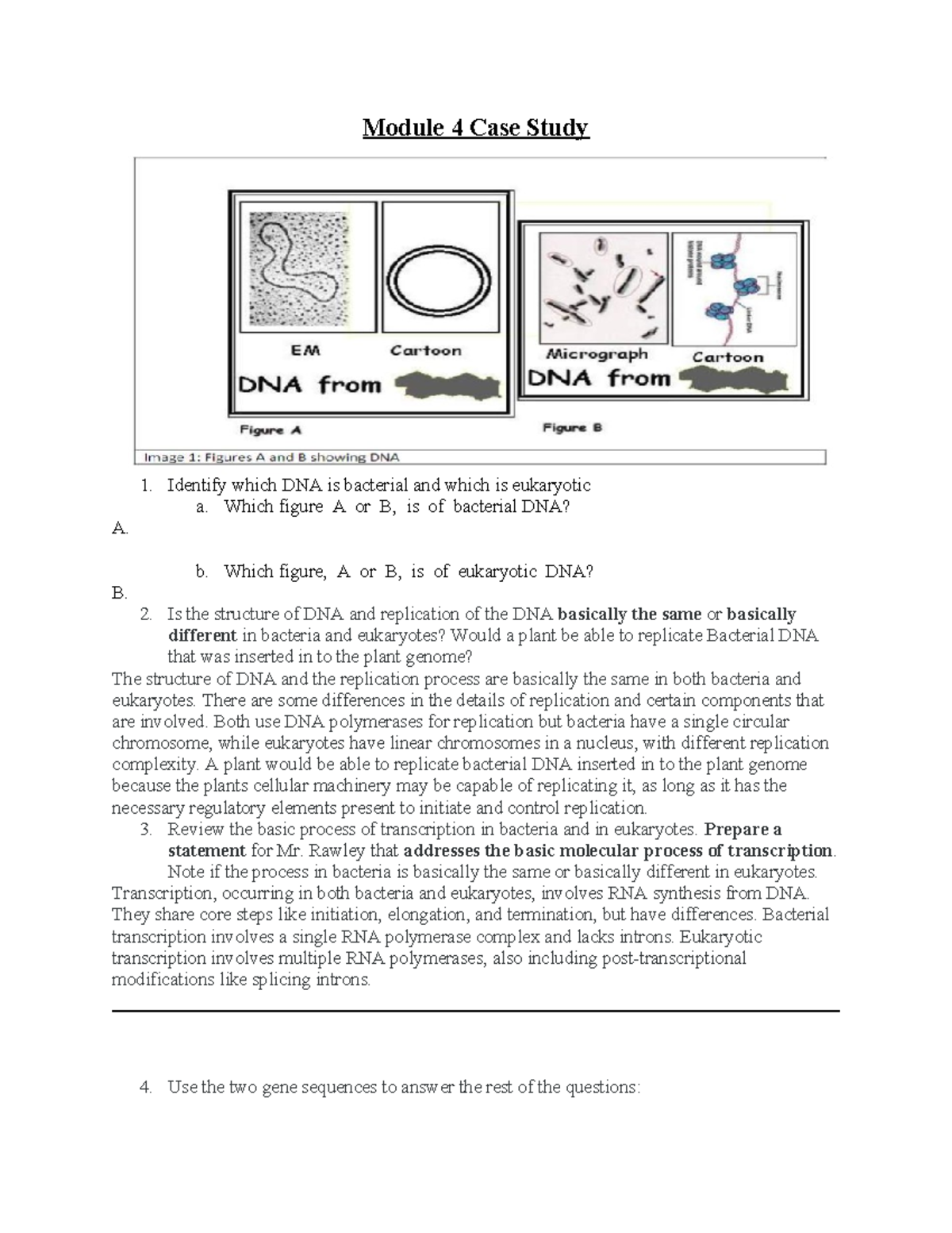 Module 4 Case Study Worksheet - Module 4 Case Study Identify which DNA is bacterial and which is ...