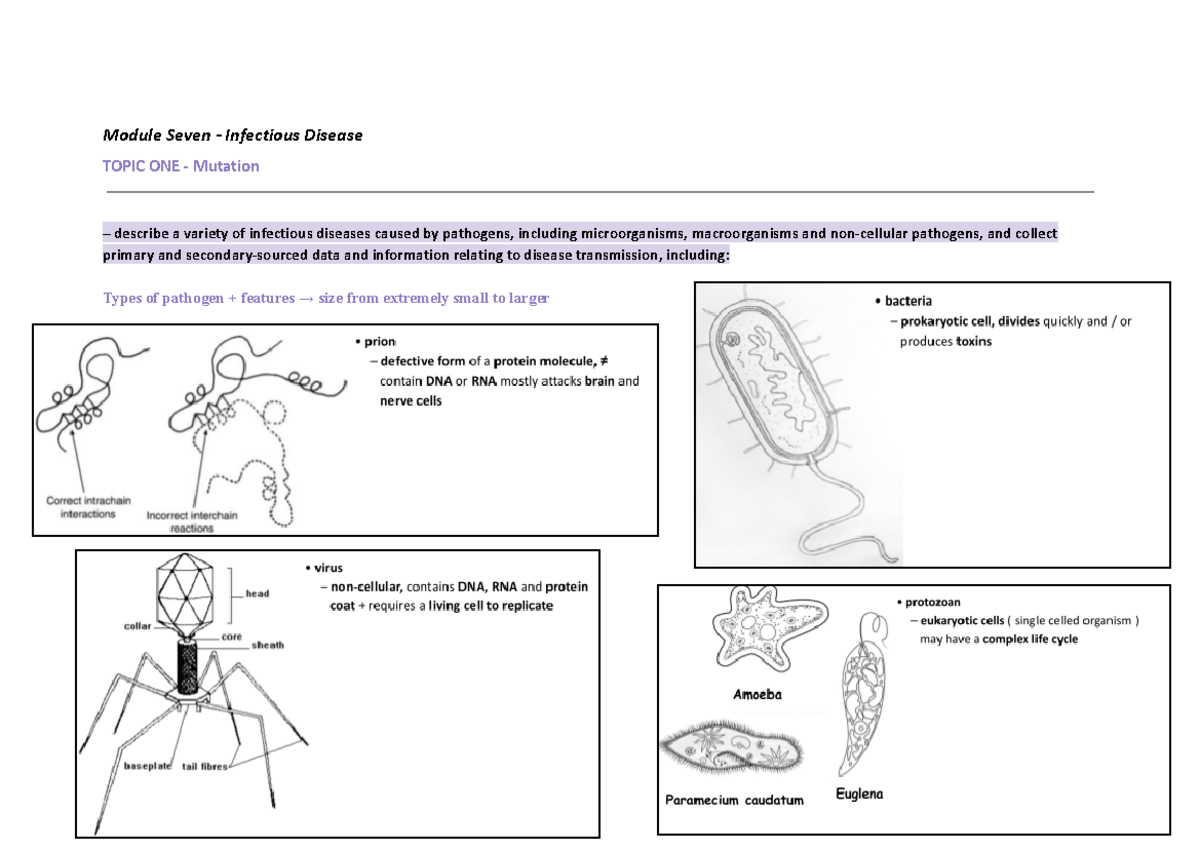 Module 7 infectious disease - Module Seven - Infectious Disease TOPIC ...