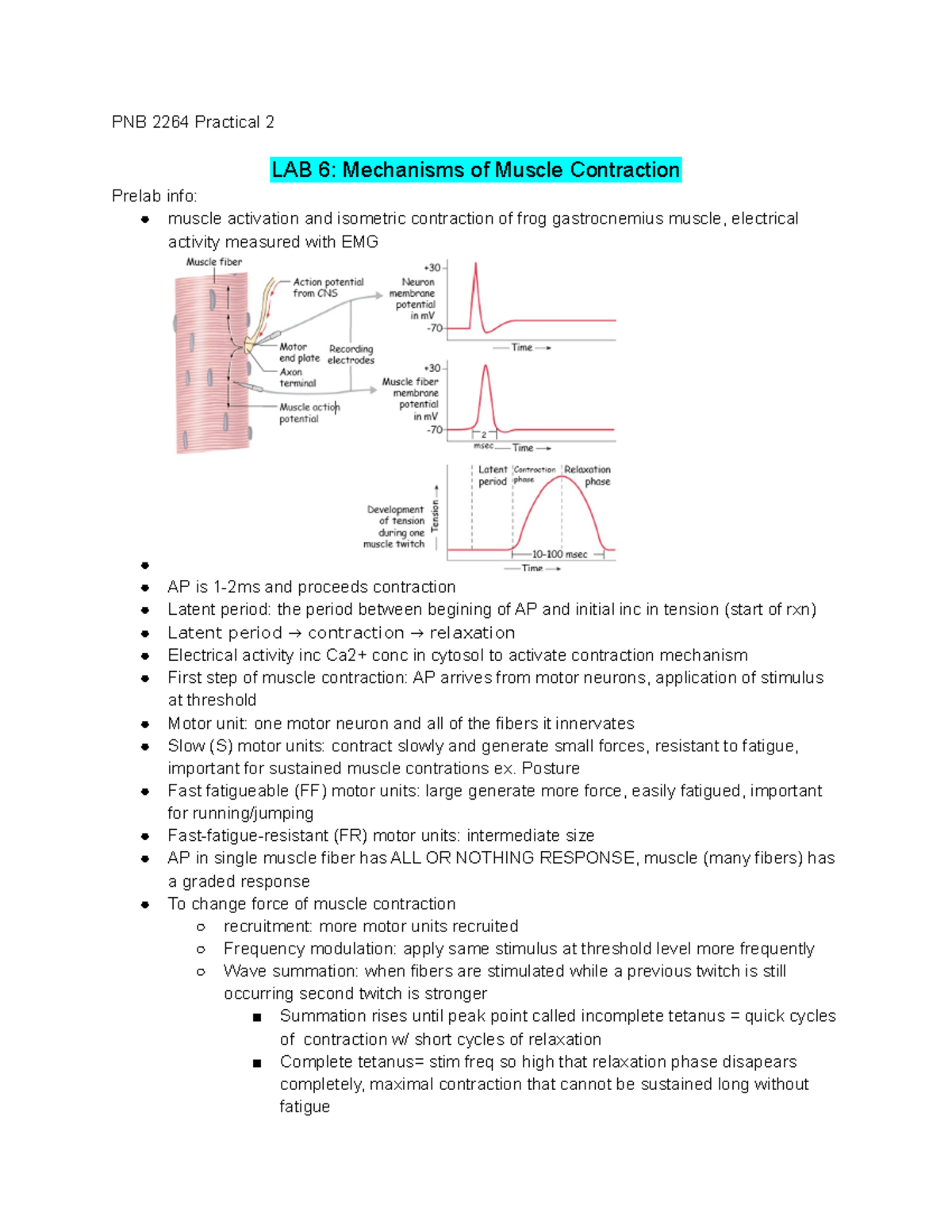 PNB 2264 LAB 6-10 Practical Review Study Guide - PNB 2264 Practical 2 ...