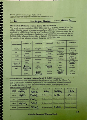 Lab report - Chem 103 lab - Reaction Types and Chemical Logic: Lab ...